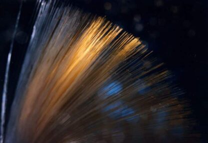 G.652 fiber - TrendFiber